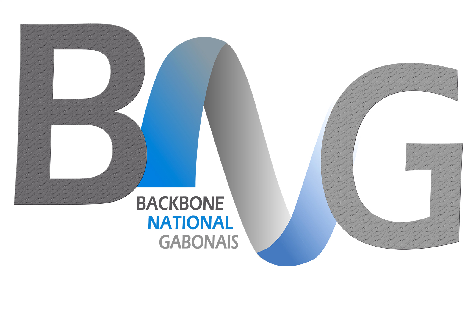 Le Backbone National Gabonais (BNG) – ANINF